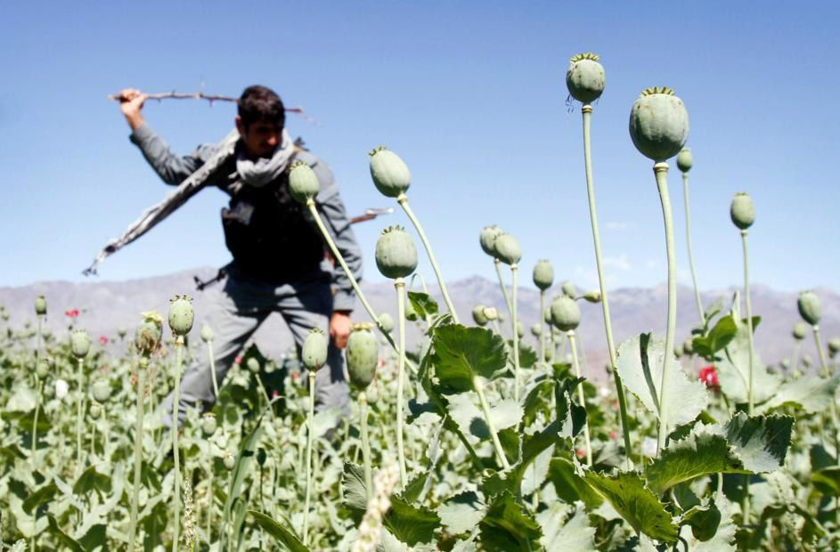 WP reveals failure of secret CIA opium-reduction mission in Afghanistan ...